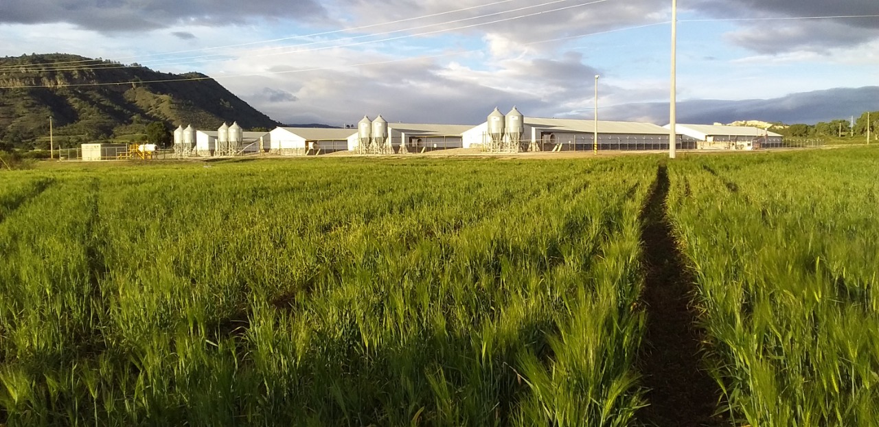 Reconocen a Granjas Carroll México por su programa agricultura sustentable
